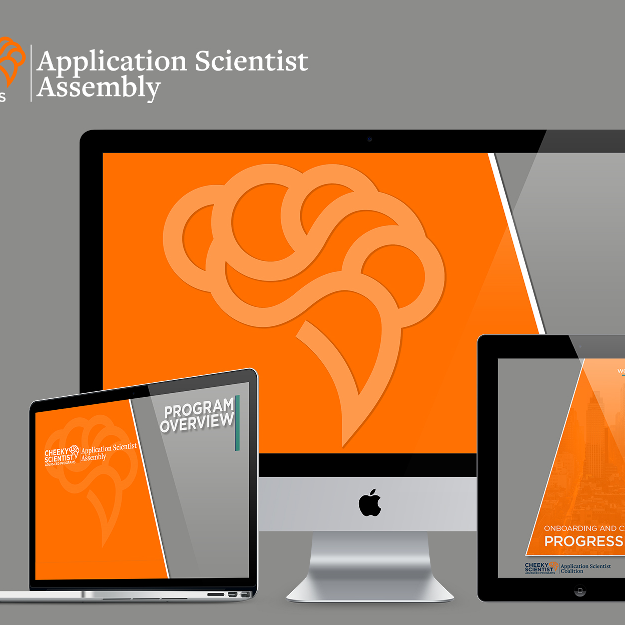 Application Scientist Assembly - Cheeky Scientist